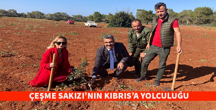 Çeşme Sakızının Kıbrıs’a Yolculuğu